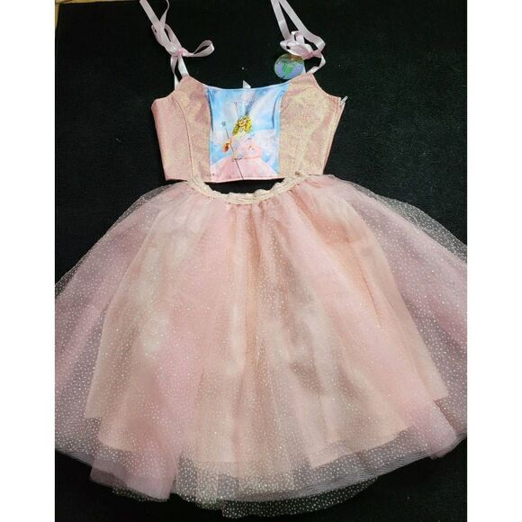 Dolls Kill | Skirts | Dollskill X Wizard Of Oz Fell From A Star ...